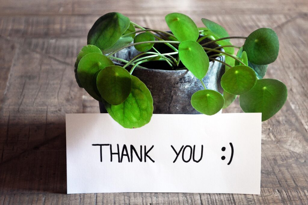 Best TED Talks on Gratitude for Thanksgiving 2025: An Expert Review ...